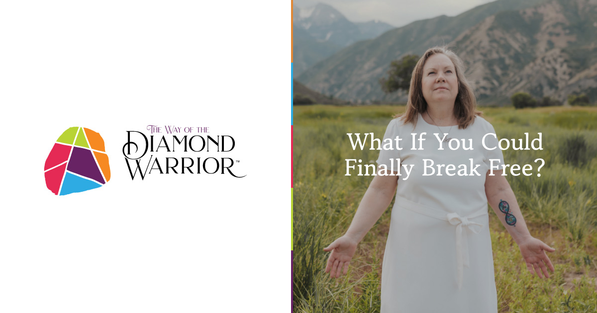 About - The Way of the Diamond Warrior